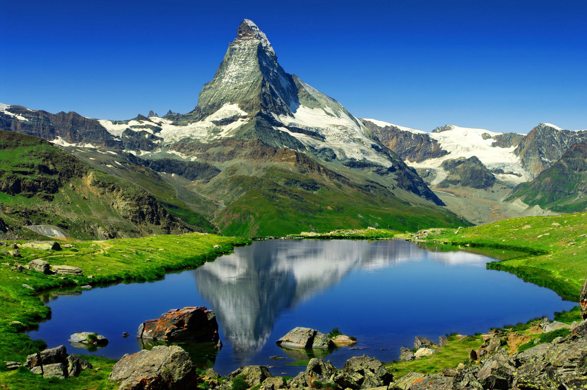 Made in Switzerland - cell-1 Ingerdients – cell-1 Worldwide Shop